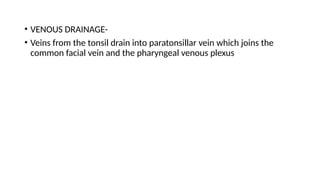 TONSIL infection of the tonsil it may be acute and chronic | PPTX