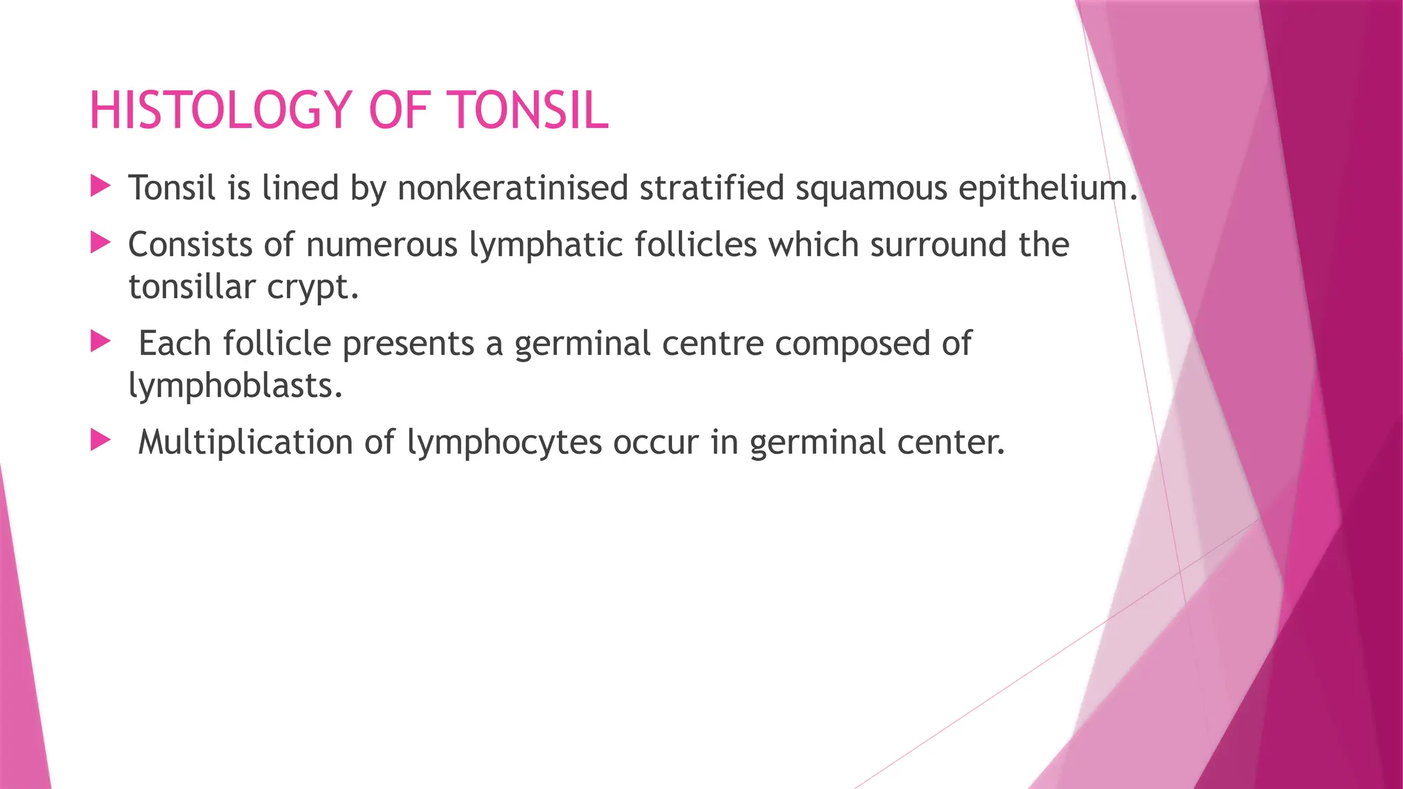 tonsil ppt.pptx important topic on this for ugs | PPTX