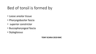 Tonsils revision notes | PPT