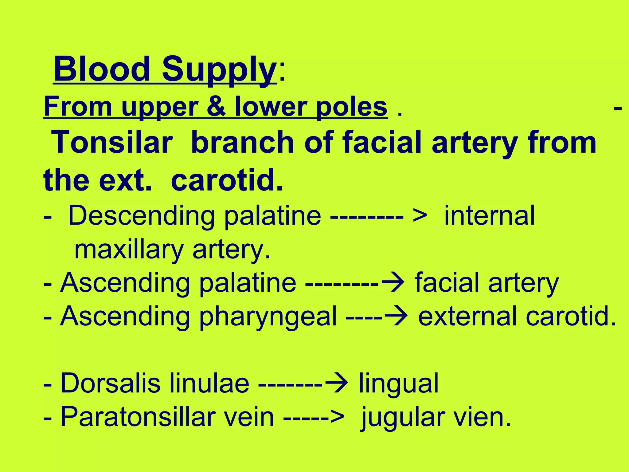 Tonsils And Adenoids | PPT