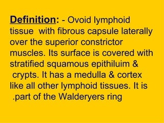 Tonsils And Adenoids | PPT