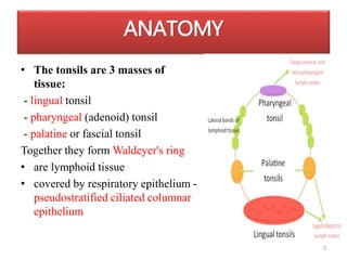 Adenoids Function