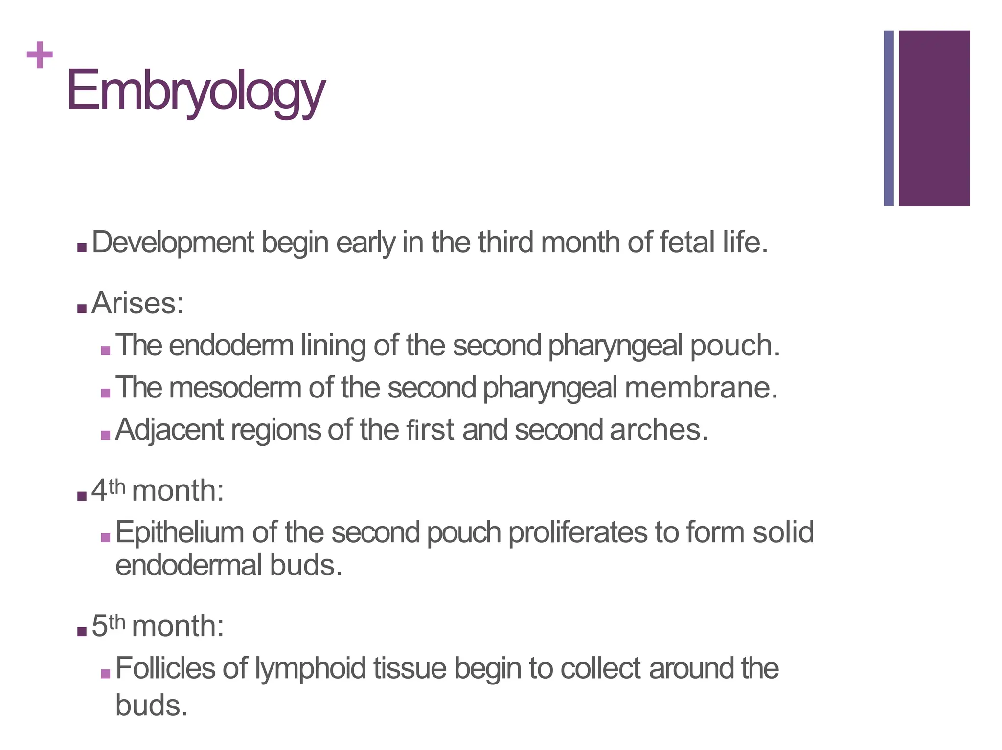 Tonsils embryology, anatomy and,physiology.pptx
