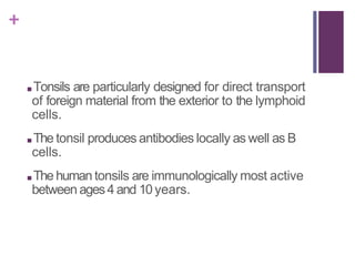 Tonsils embryology, anatomy and,physiology.pptx