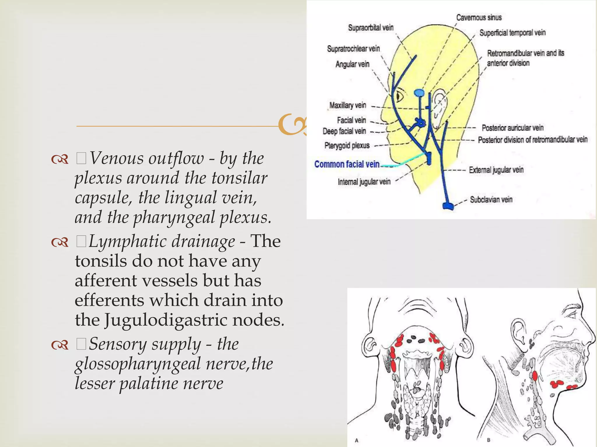 Tonsils ppt | PPTX