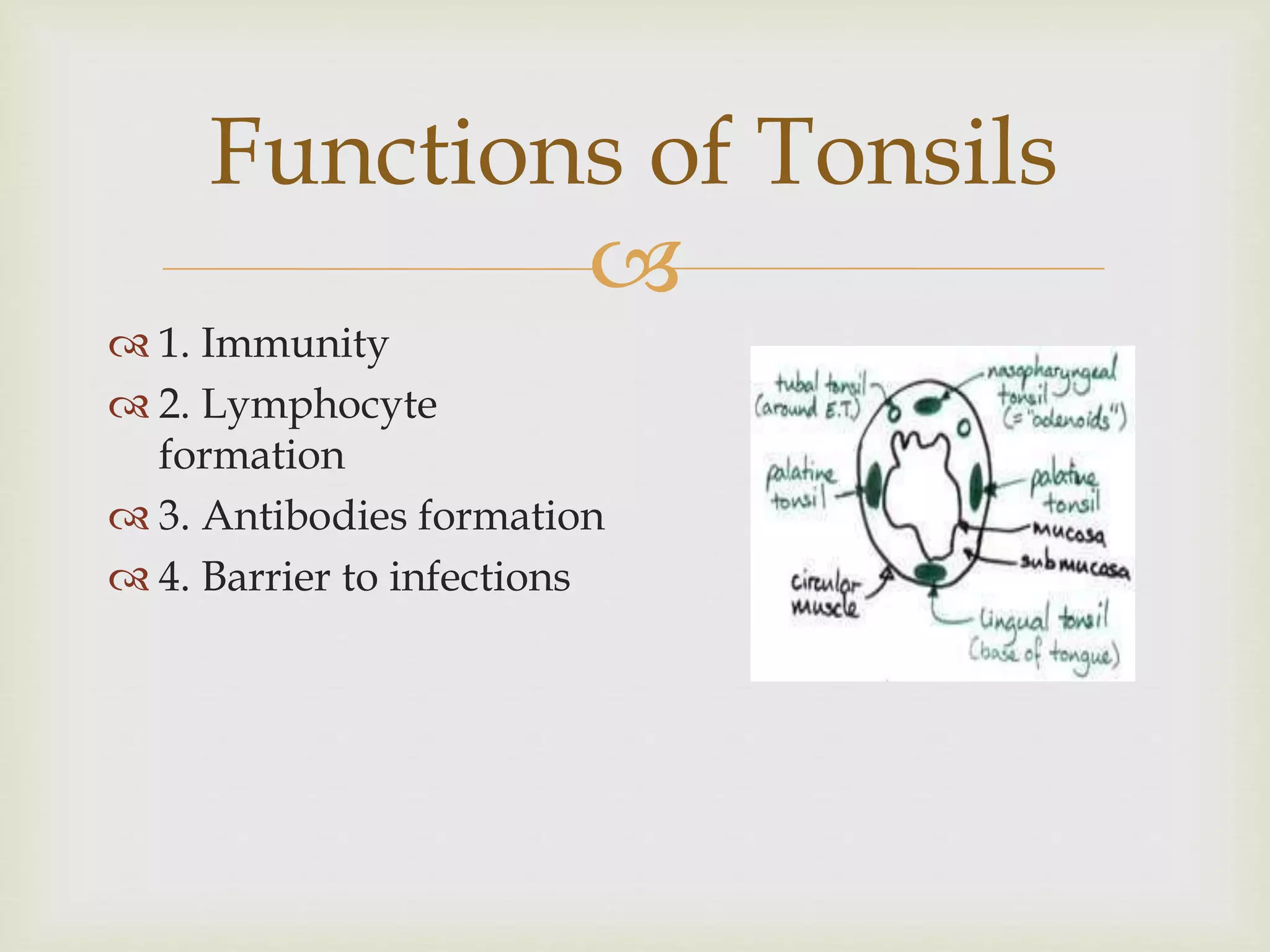 Tonsils ppt | PPTX