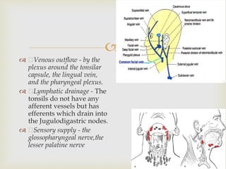 Tonsils ppt | PPTX