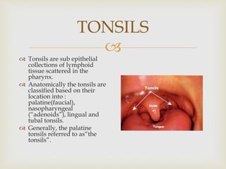 Tonsils ppt | PPTX