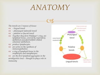 Tonsils ppt | PPTX