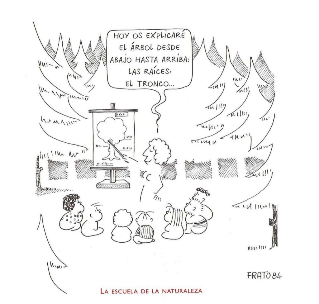 FRATO. Escuela y Aprendizaje