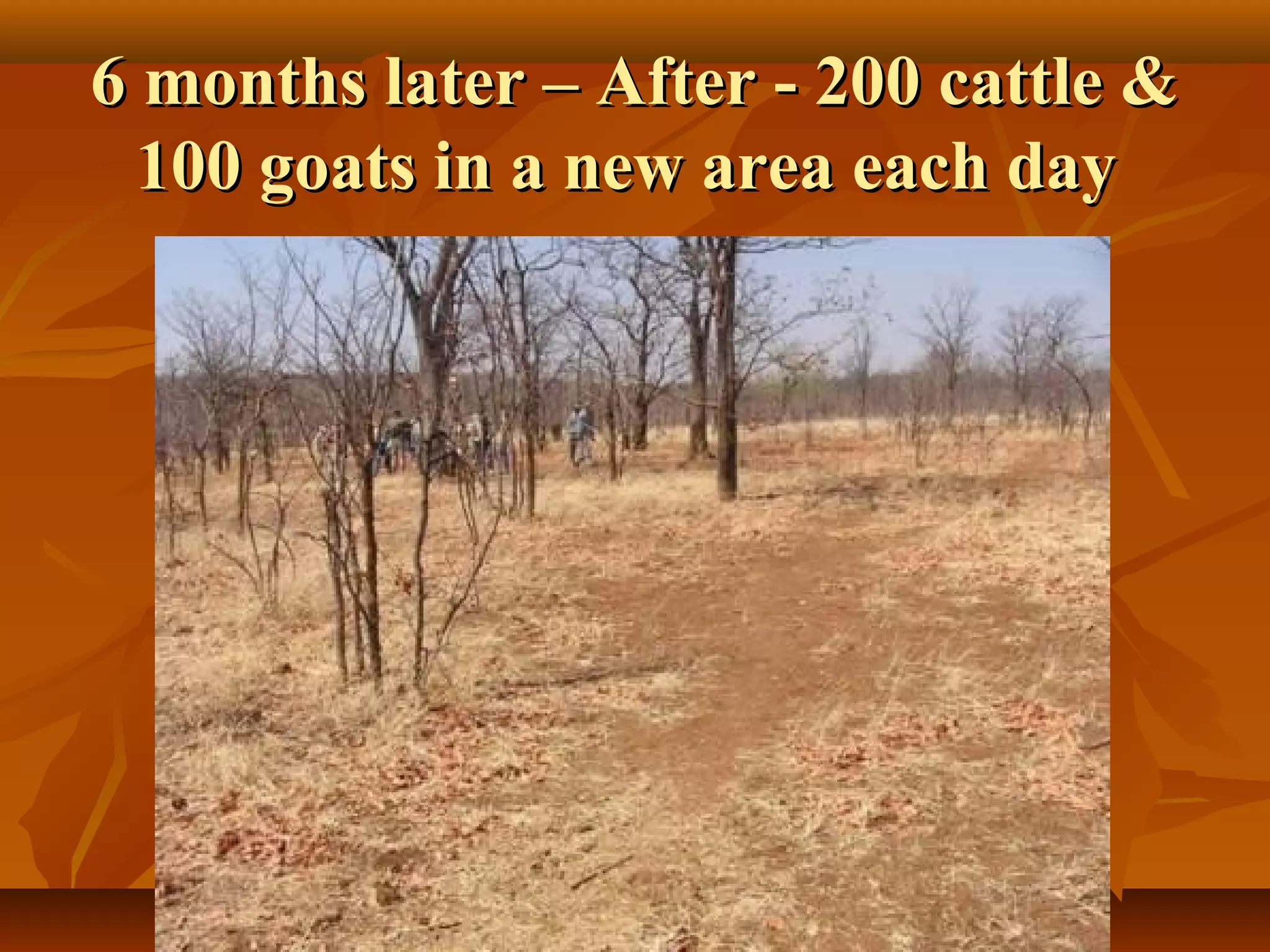 HOLISTIC MANAGEMENT Planned Grazing | PPT