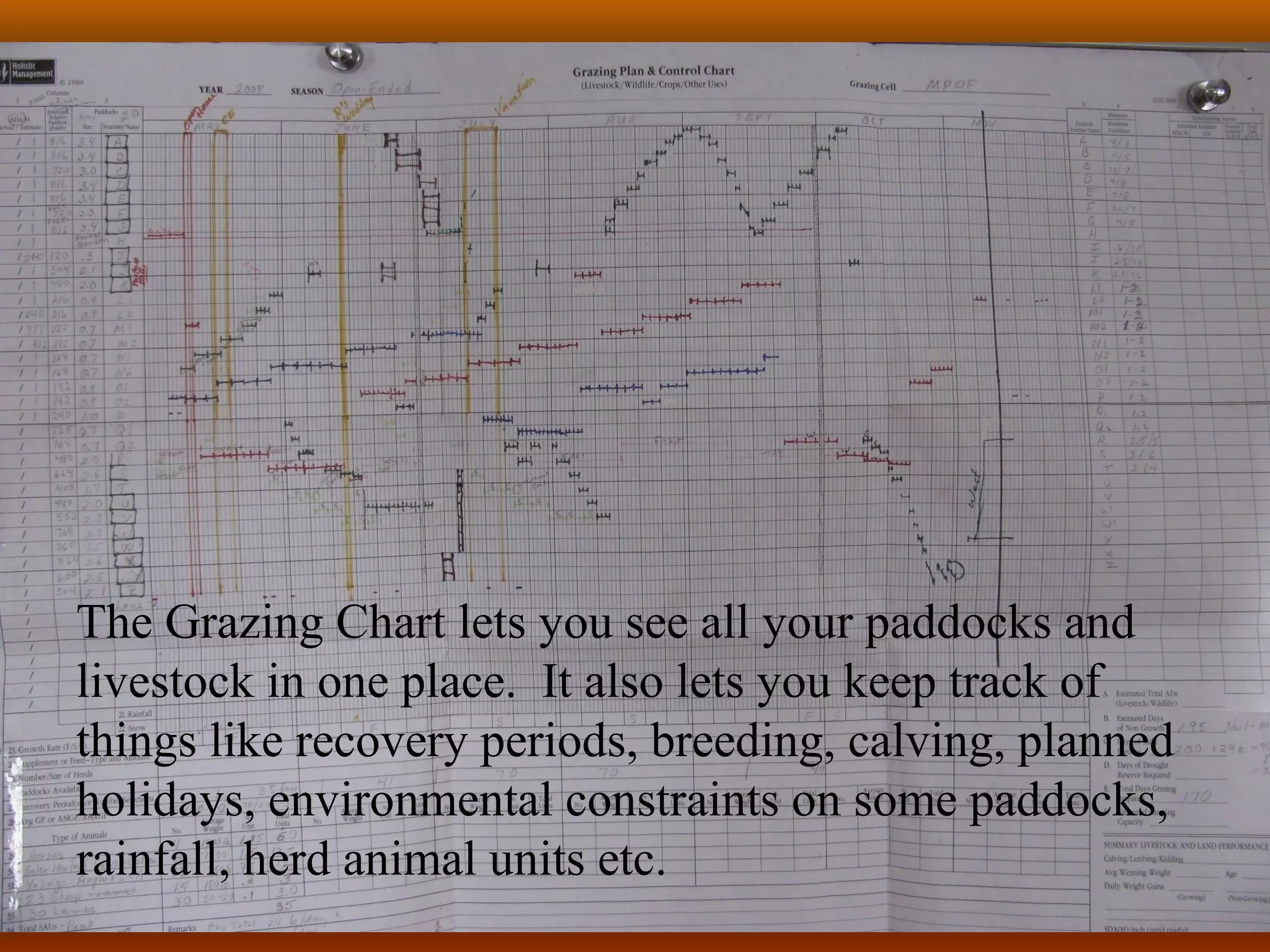 HOLISTIC MANAGEMENT Planned Grazing | PPT