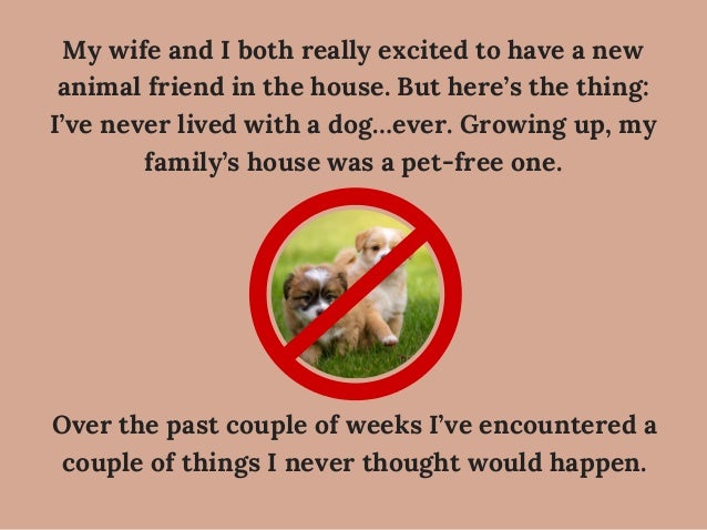 7 Things I Learned From Having a New Puppy (@AnthonyAngiuli)