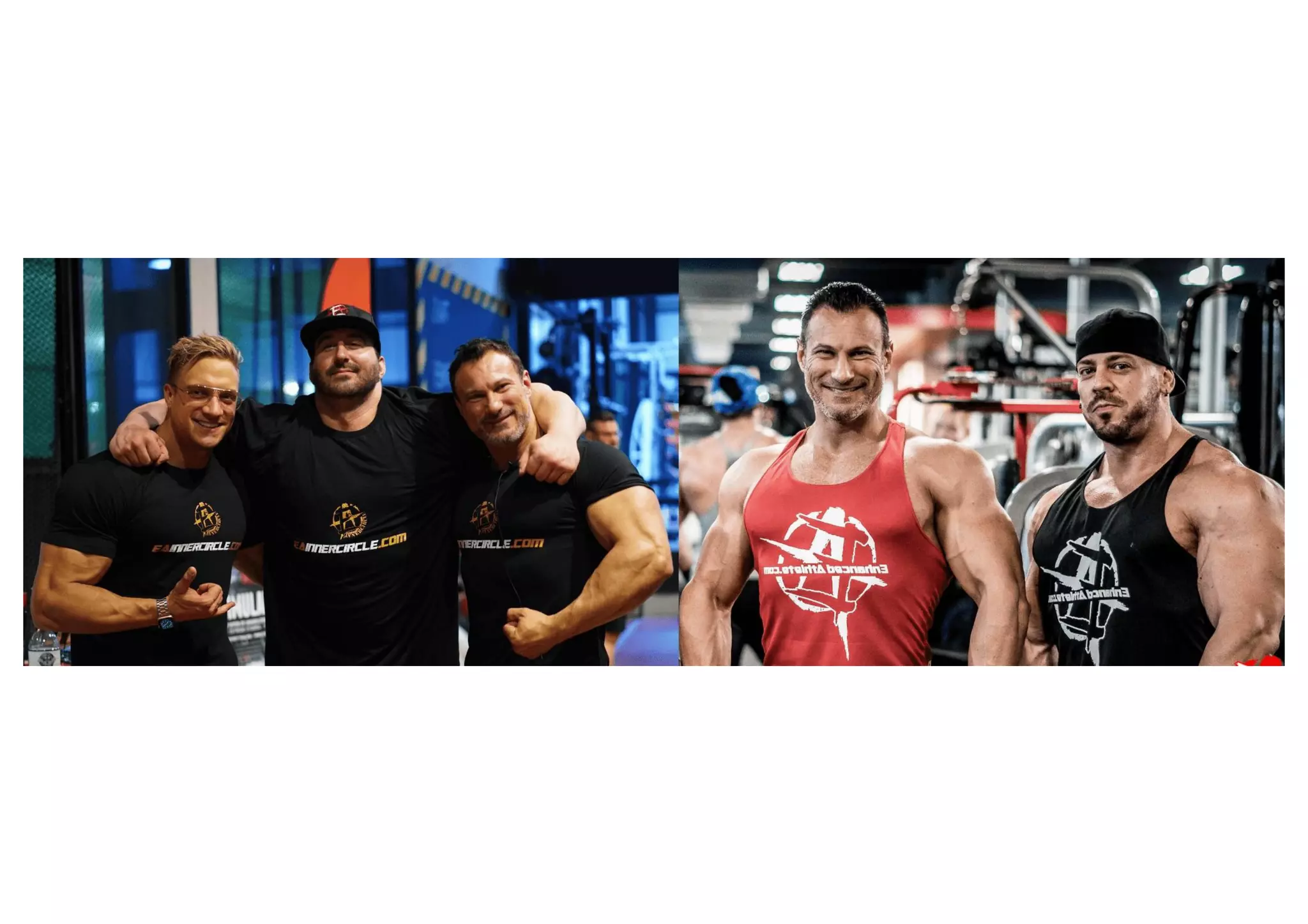 bodybuilding program featured | PPT