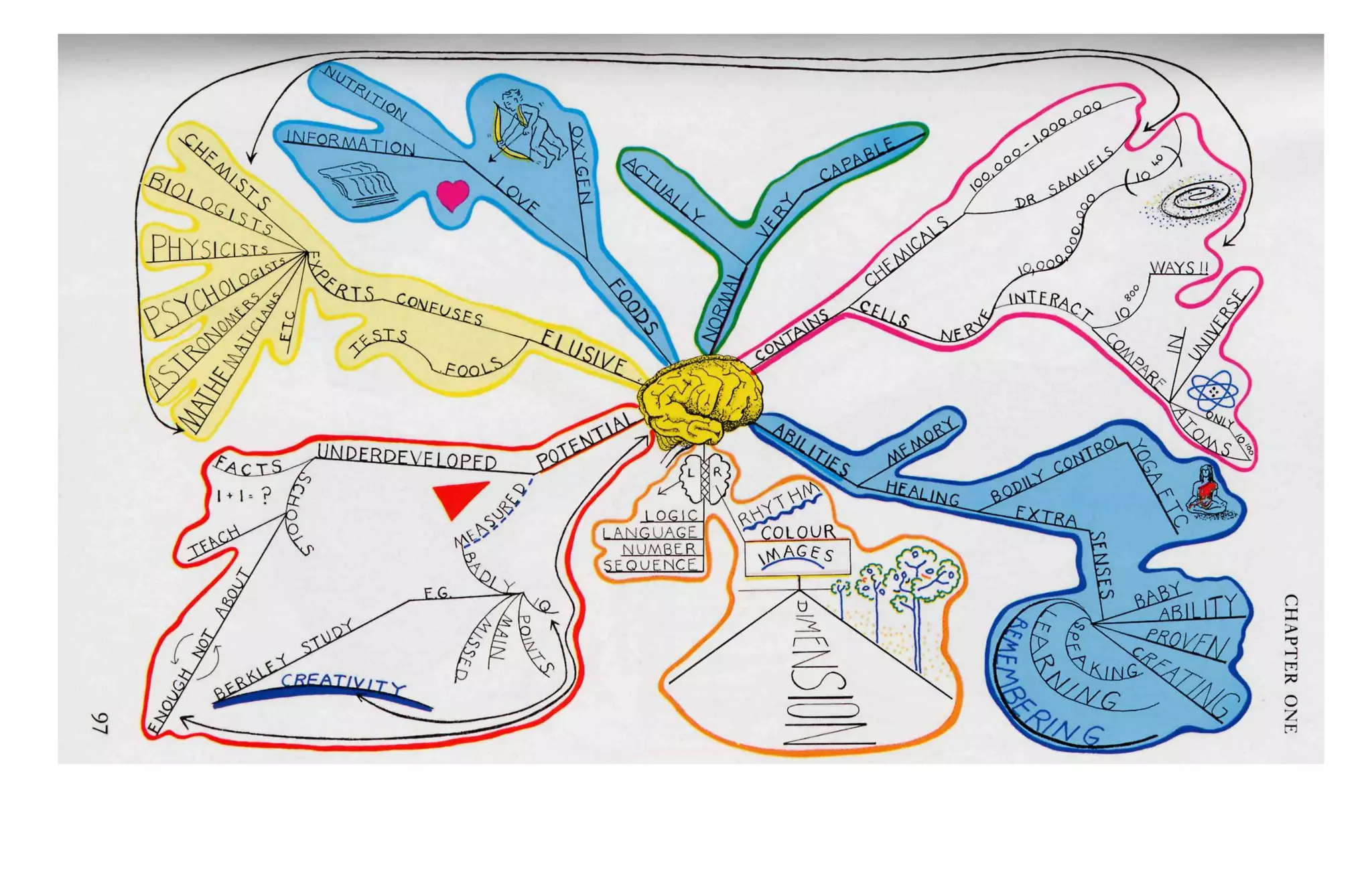 Tony buzan mind maps and making notes | PDF