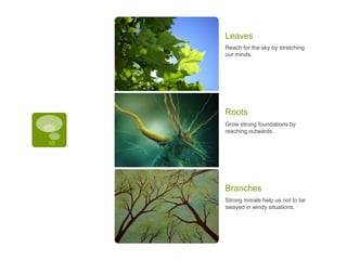 Tony tree reworked[1] | PPTX | Daycare and Pre-School | Parenting