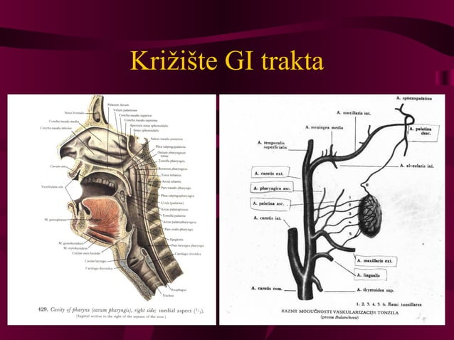 Tonsillectomy and Adenoidectomy: Post Operative Care | PPT