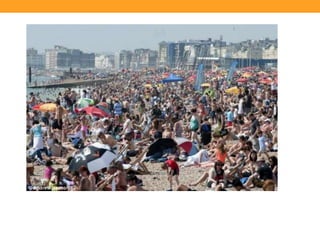 too-much-too-many-not-enough.ppt