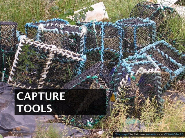 Tool Academy: Web Archiving | PPT | Web Design and HTML | Internet