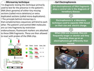 Tool And Technology In Diagnostic Cycle.pptx | Blood Disorders ...