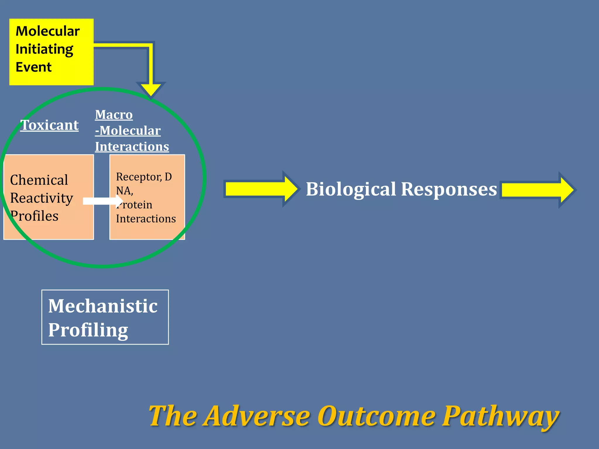 Introduction to OECD QSAR Toolbox | PPTX
