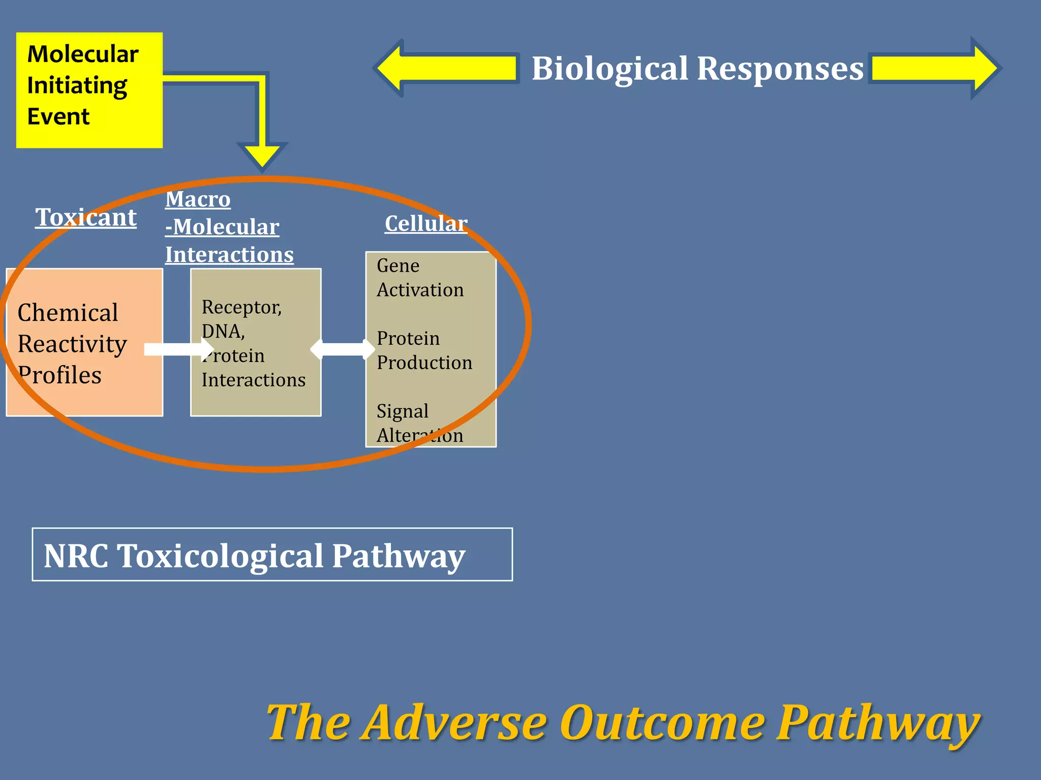 Introduction to OECD QSAR Toolbox | PPTX