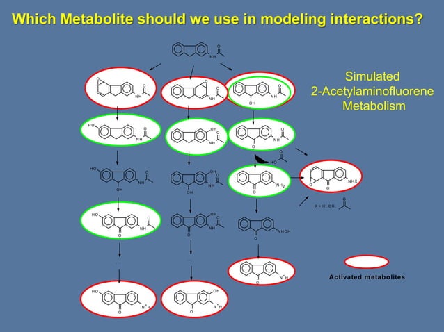 Introduction to OECD QSAR Toolbox | PPTX | Chemistry | Science