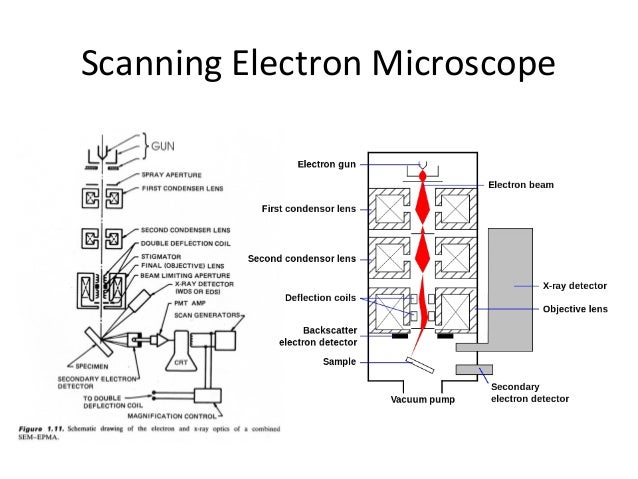 Tool makers microscope