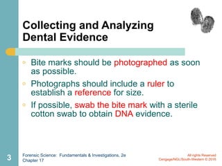 High School Forensic Science tool marks-1.ppt