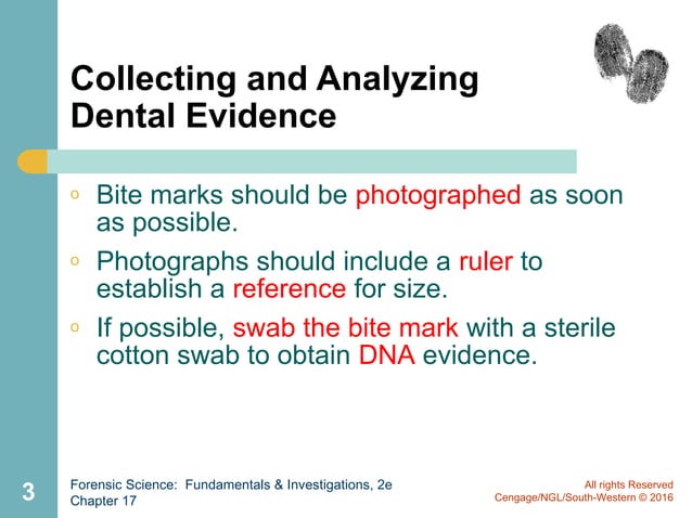 High School Forensic Science tool marks-1.ppt