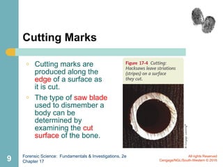 High School Forensic Science tool marks-1.ppt