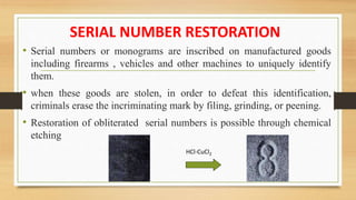 Forensic Importance of Tool marks. pptx. | PPTX | Chemistry | Science
