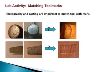 Toolmarks & impressions | PPT