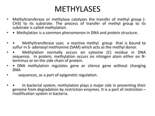 tool of gentic engg.ppt