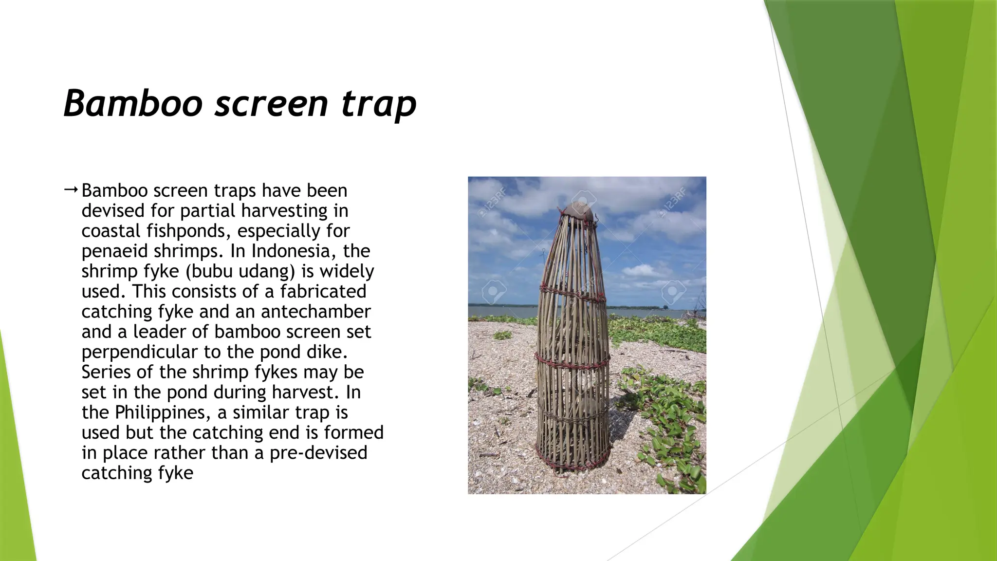 Tools-and-Equipment-in-Aquaculture.pptxx | PPTX