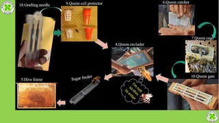 Tools and equipment used in Bee Keeping.pptx