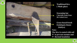 Tools and equipment used in Bee Keeping.pptx