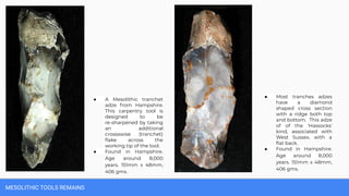 TOOLS FIND IN PREHISTORY | PDF