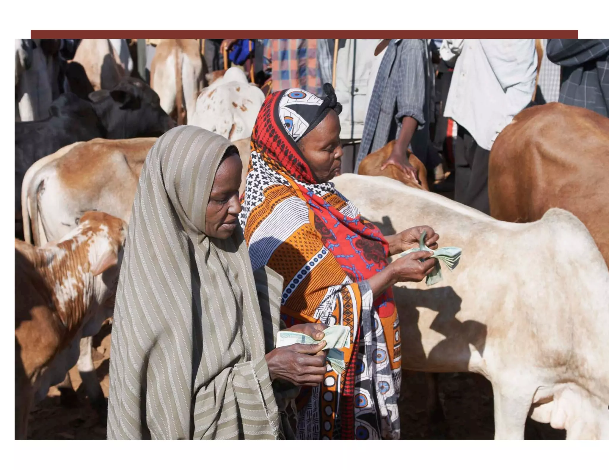 Tools for improving pastoral women’s access to land and resources | PPT