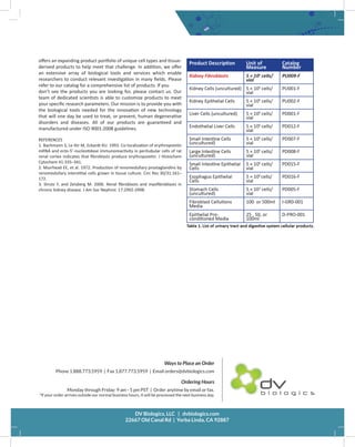 Chronic Kidney Disease & Human Renal Fibroblasts | PDF