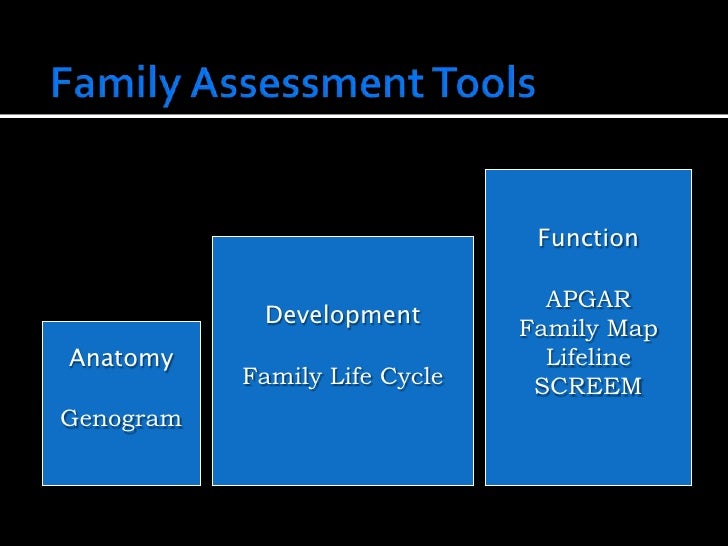 Family Assessment Nursing Sample Family Assessment Essay Paper 2019 family-assessment-nursing-sample-family-assessment-essay-paper-2019
