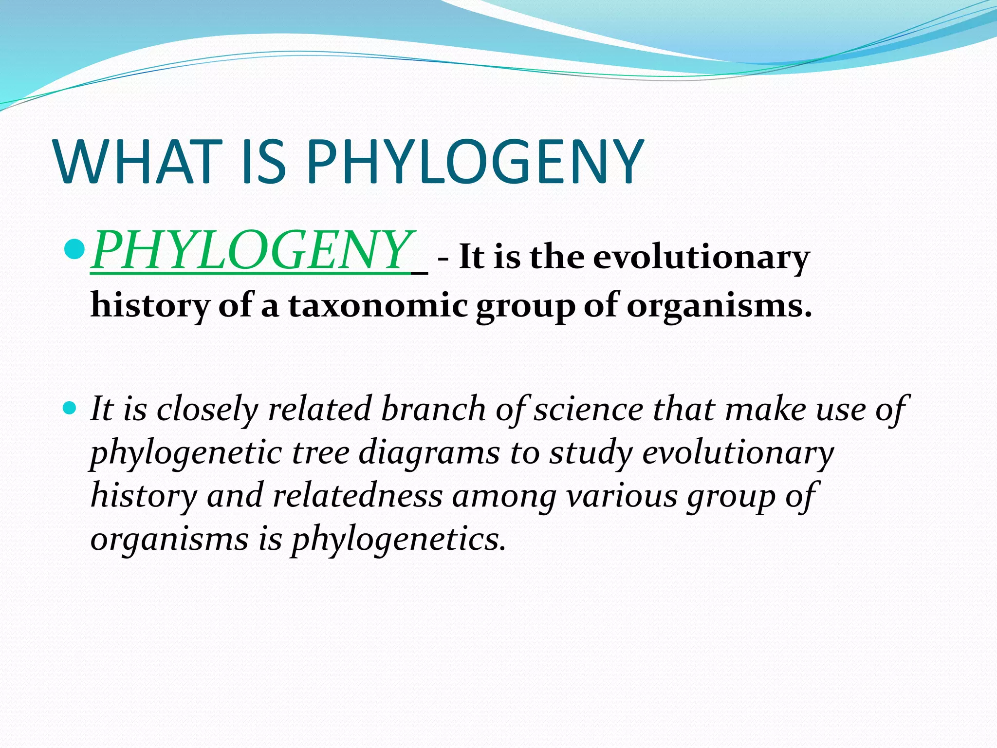Tools in phylogeny | PPTX