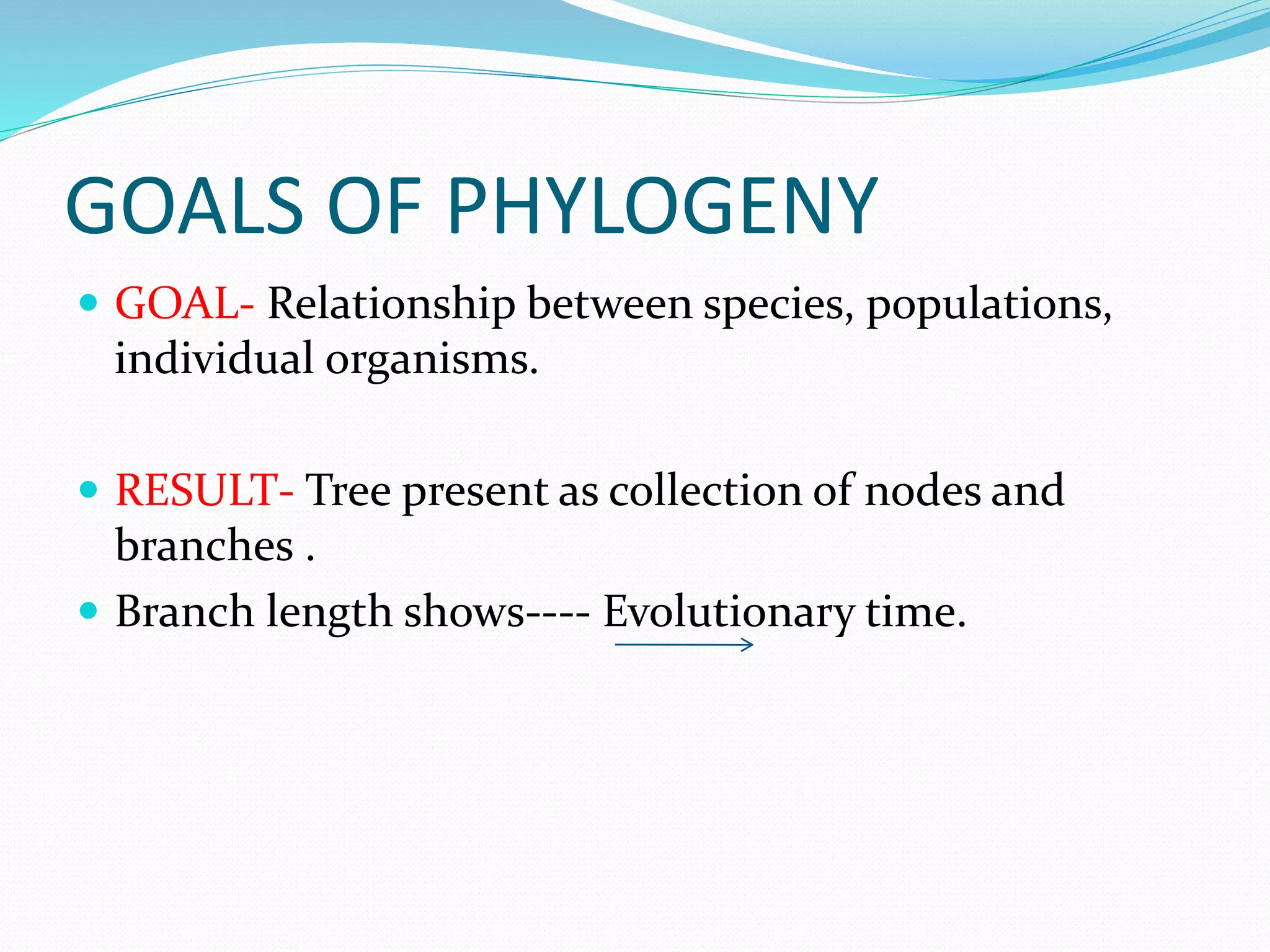 Tools in phylogeny | PPTX
