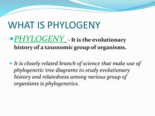 Tools in phylogeny | PPTX