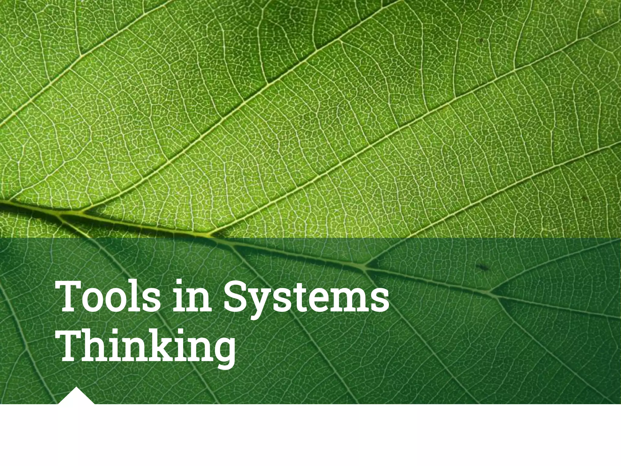 Tools in systems thinking | PPTX