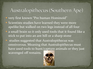 Tools of early humans | PPT