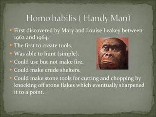 Tools of early humans | PPT