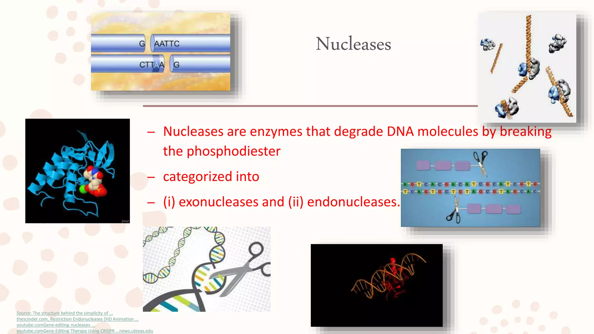 Tools of genetic engineering | PPTX | Chemistry | Science