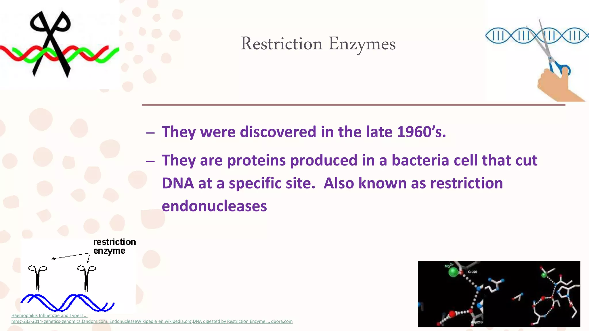 Tools of genetic engineering | PPTX | Chemistry | Science