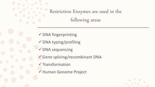 Tools of genetic engineering | PPTX